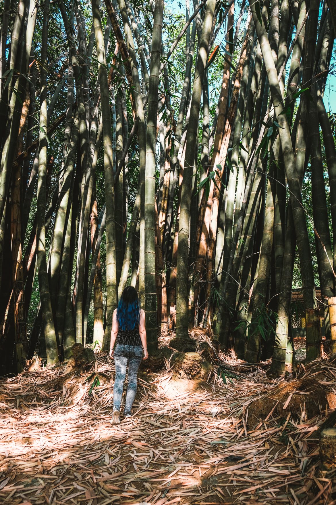 7 Romantic Places In Kandy: Travel Guide For Couples In Love